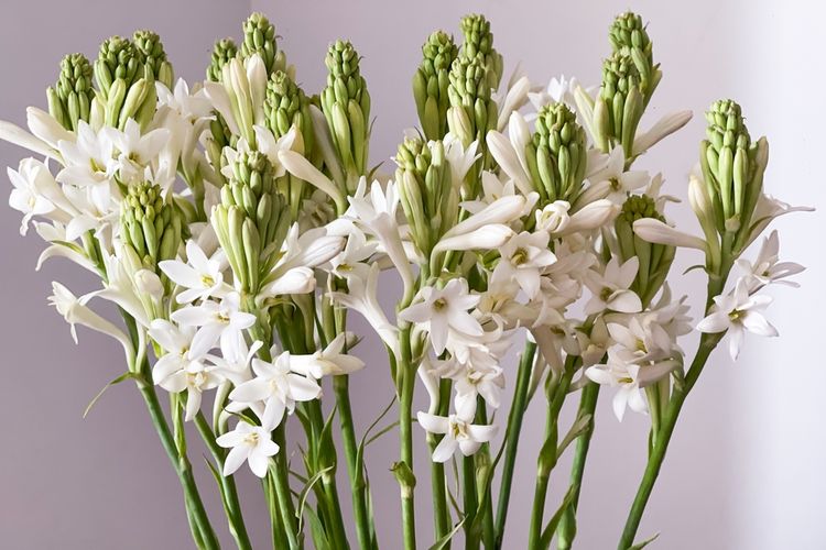 Bunga Sedap Malam: Tren Aromaterapi dan Dekorasi 2024 – Three Bouquets