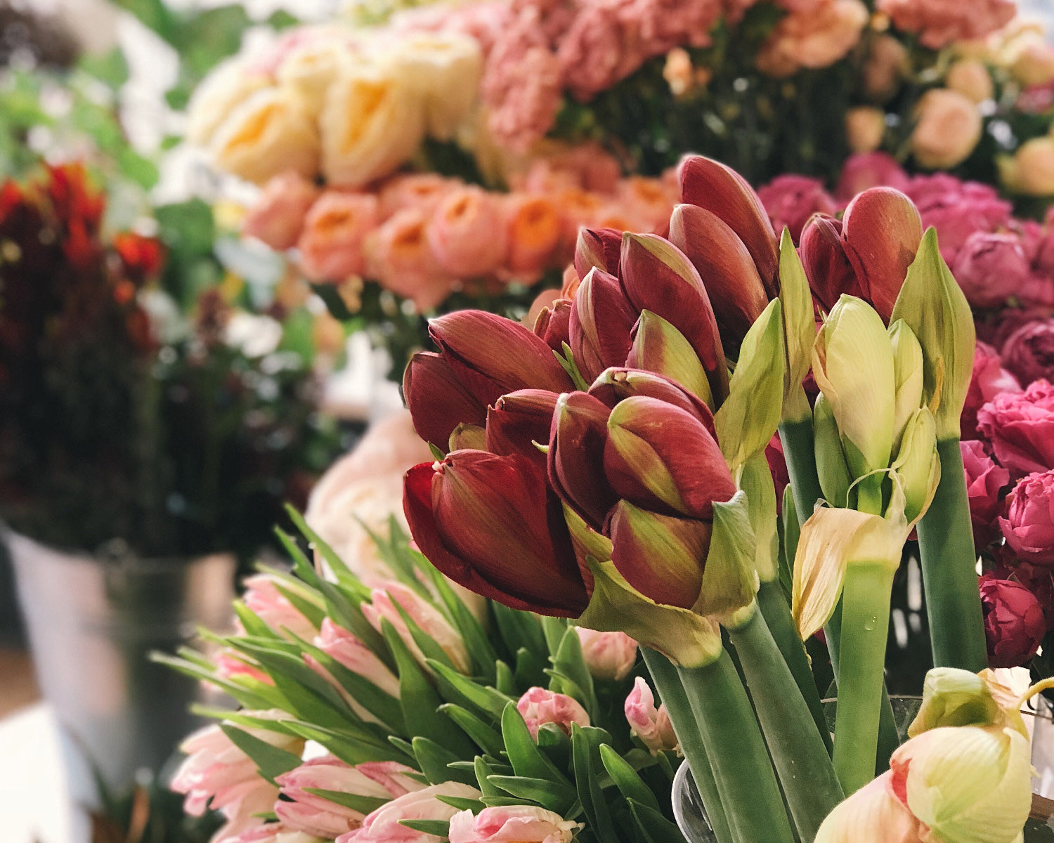 Floriografi: Bahasa Rahasia dari Bunga – Three Bouquets