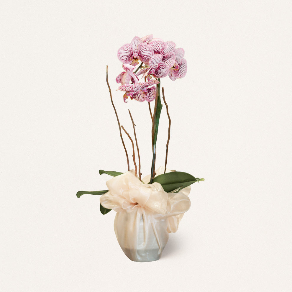 Vas Bunga Anggrek Ungu Lilac Jakarta | Three Bouquets