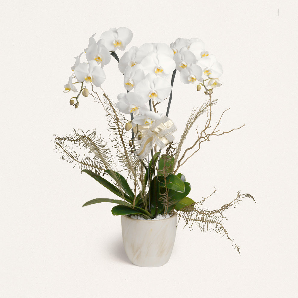 Vas Bunga Anggrek Putih Bianca Jakarta | Three Bouquets